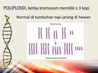 Perubahan keaadaan dalam kromosom normal pada sel | PPT