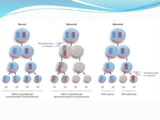 Perubahan keaadaan dalam kromosom normal pada sel | PPT