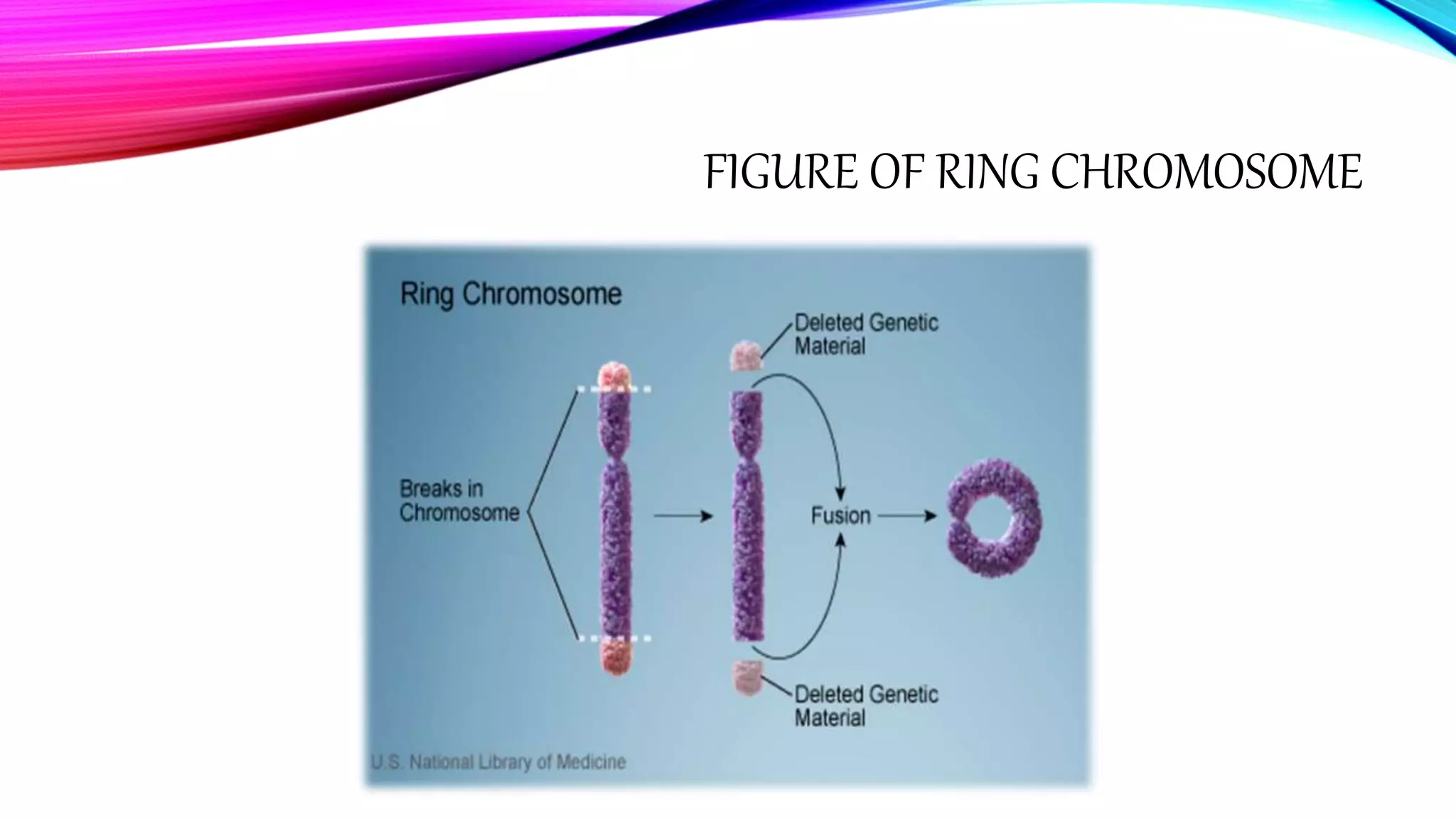 Structural Chromosome aberration ppt | PPTX