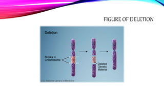 Structural Chromosome aberration ppt | PPTX