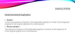 Structural Chromosome aberration ppt | PPTX