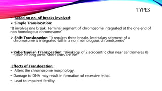 Structural Chromosome aberration ppt | PPTX