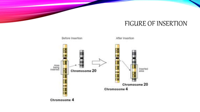 Structural Chromosome aberration ppt | PPTX