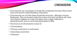 Structural Chromosome aberration ppt | PPTX