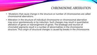 Structural Chromosome aberration ppt | PPTX