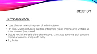 Structural Chromosome aberration ppt | PPTX