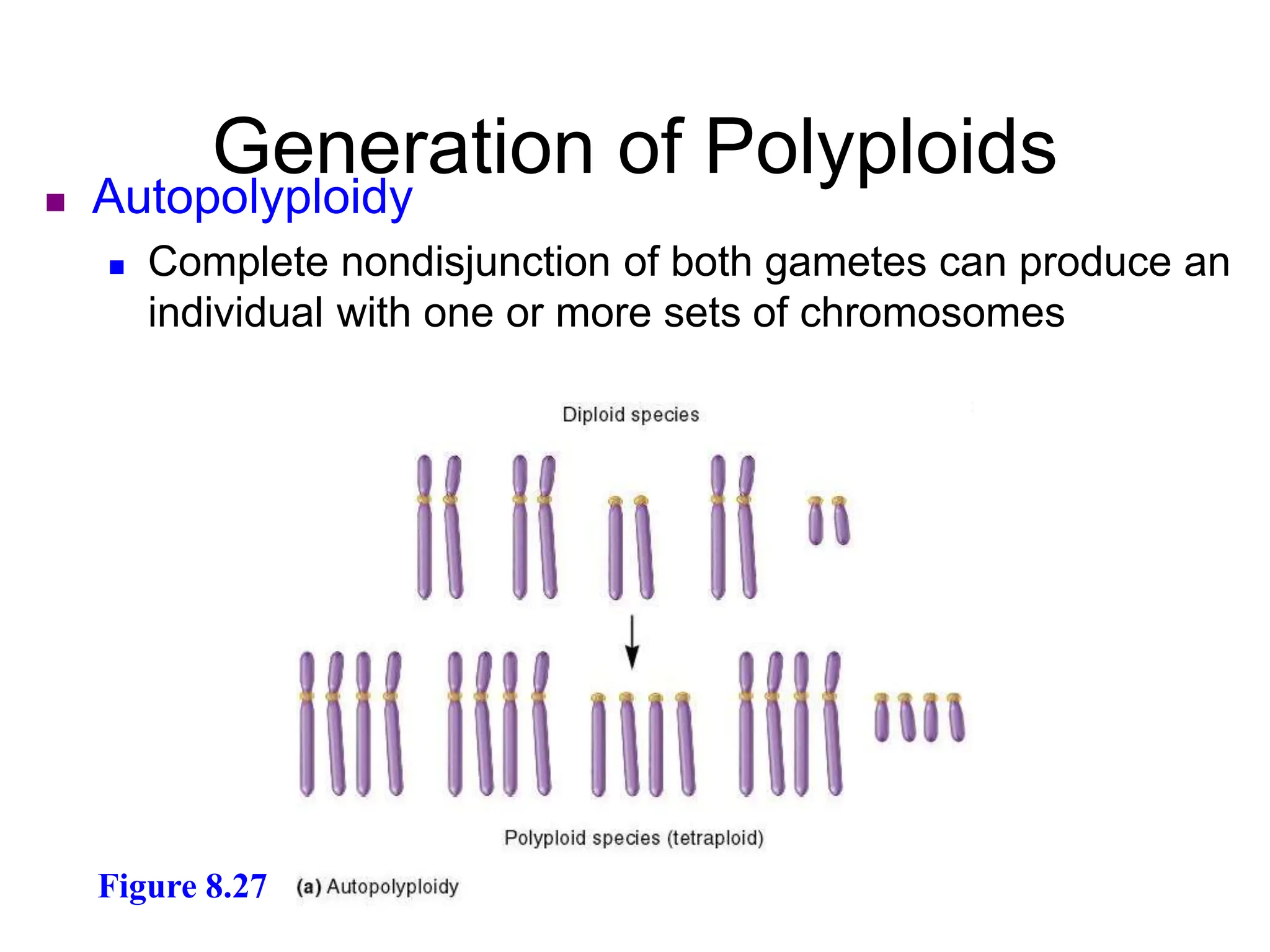 Types of Chromosome Aberrations or abnormalities.pptx