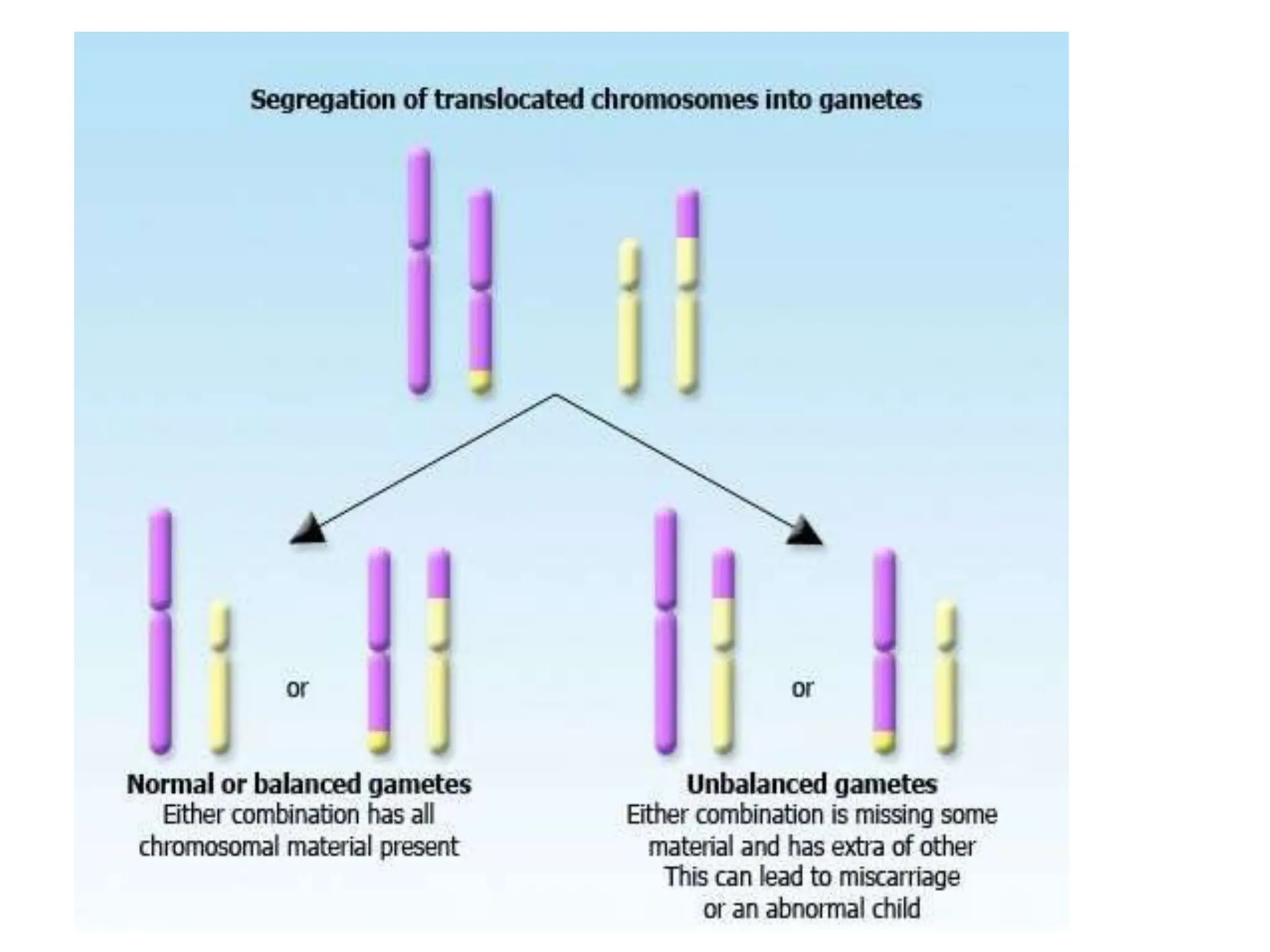 Types of Chromosome Aberrations or abnormalities.pptx