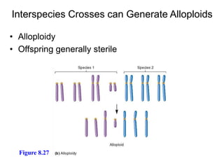 Types of Chromosome Aberrations or abnormalities.pptx