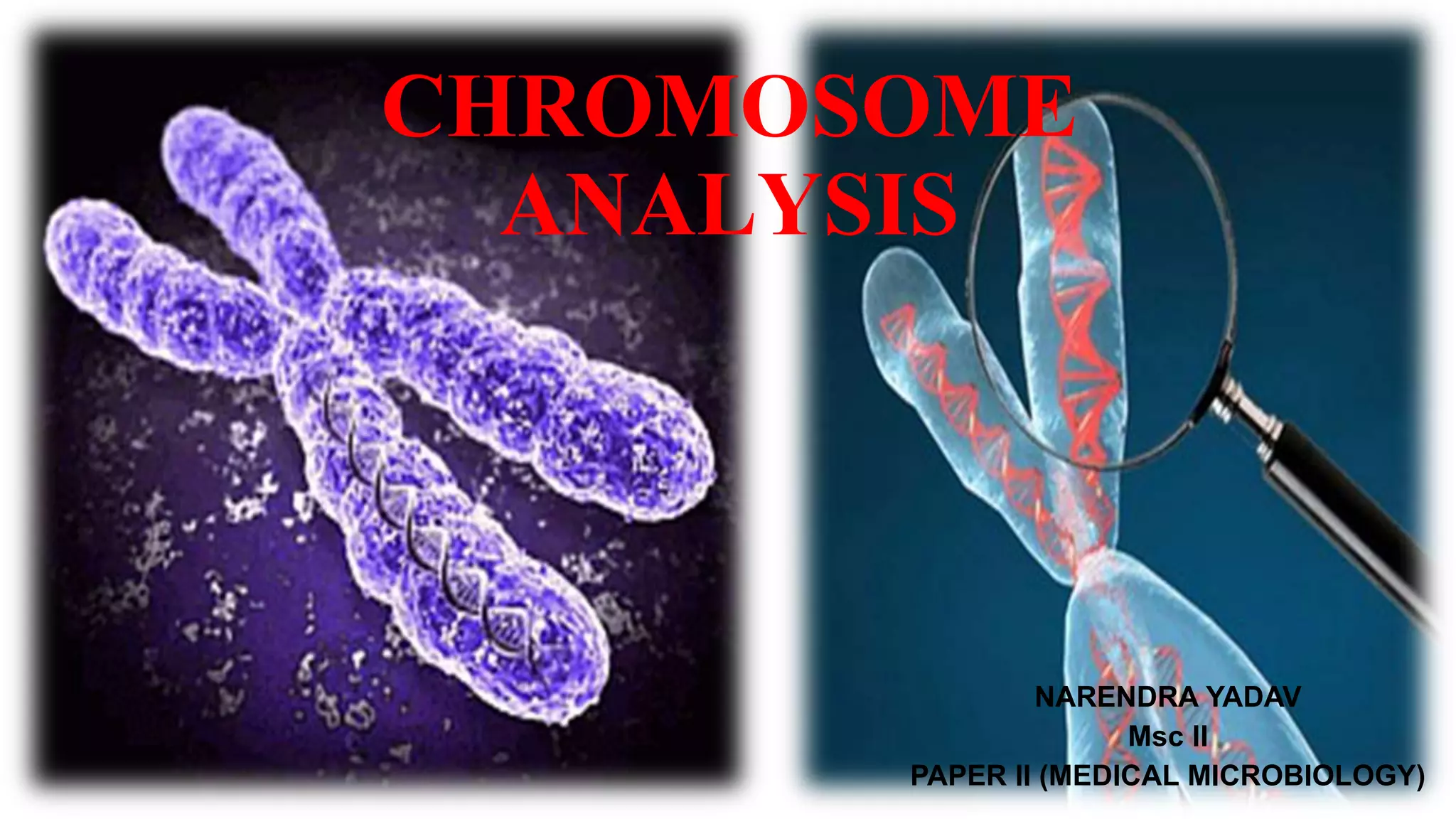 Chromosome analysis | PPTX