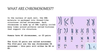 Chromosome analysis | PPTX