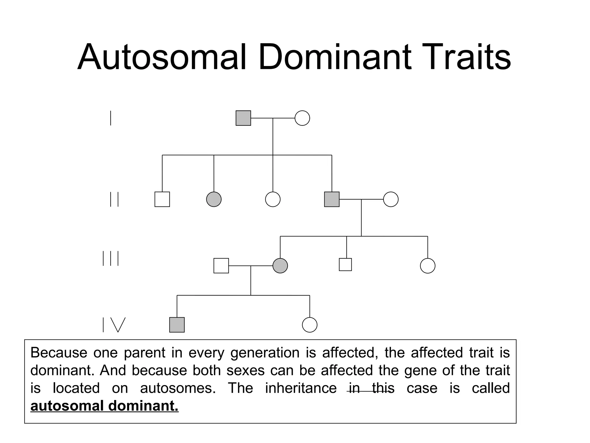 Power point presentation on Chromosome and Human Genetics.ppt