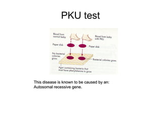 Power point presentation on Chromosome and Human Genetics.ppt