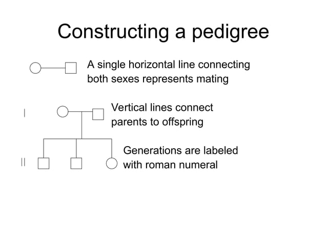 Power point presentation on Chromosome and Human Genetics.ppt