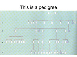 Power point presentation on Chromosome and Human Genetics.ppt