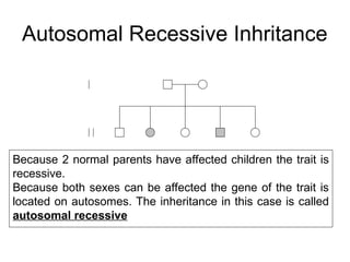 Power point presentation on Chromosome and Human Genetics.ppt