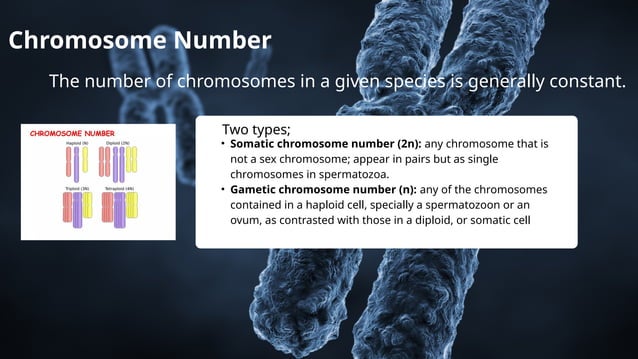 Chromosome and it's structure and types .pptx