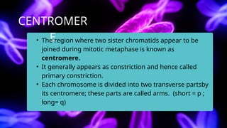 Chromosome and it's structure and types .pptx