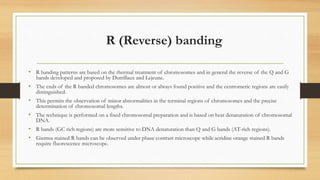 CHROMOSOME BANDING PATTERN_Dr. Sonia.pdf