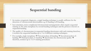CHROMOSOME BANDING PATTERN_Dr. Sonia.pdf