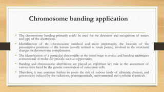 CHROMOSOME BANDING PATTERN_Dr. Sonia.pdf