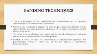 CHROMOSOME BANDING PATTERN_Dr. Sonia.pdf
