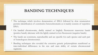 CHROMOSOME BANDING PATTERN_Dr. Sonia.pdf