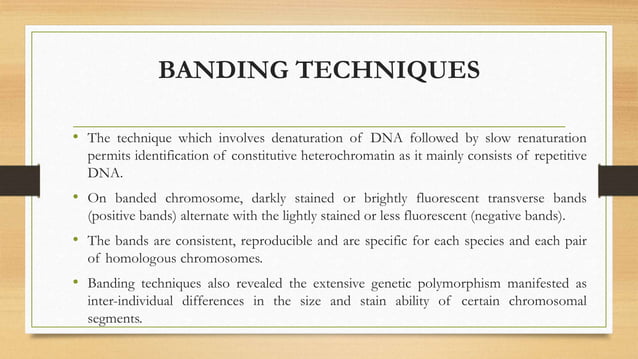 CHROMOSOME BANDING PATTERN_Dr. Sonia.pdf