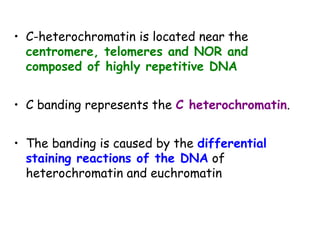 Chromosome banding techniques/methods.ppt