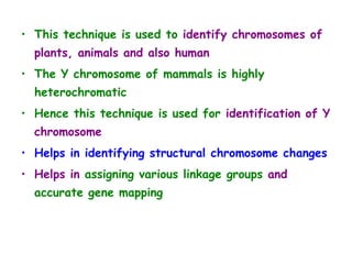 Chromosome banding techniques/methods.ppt