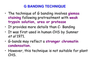 Chromosome banding techniques/methods.ppt