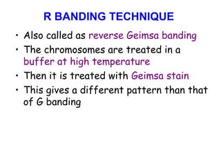 Chromosome banding techniques/methods.ppt