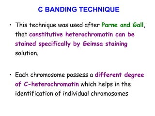 Chromosome banding techniques/methods.ppt