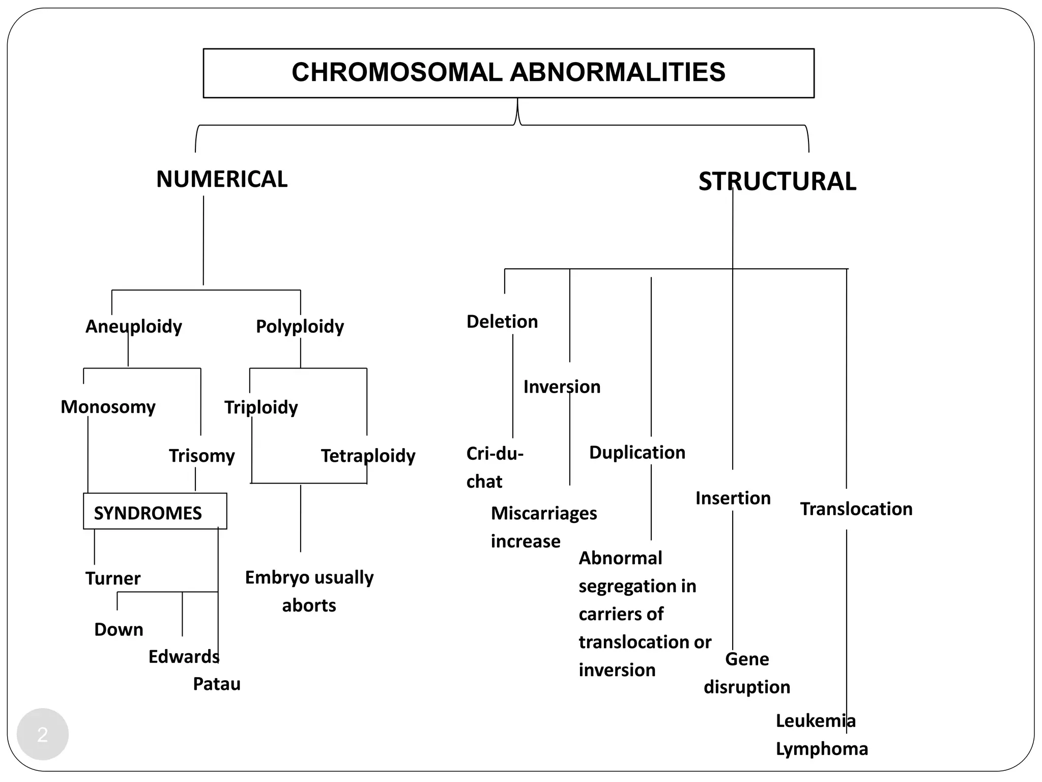 Chromosome disorders.pptx