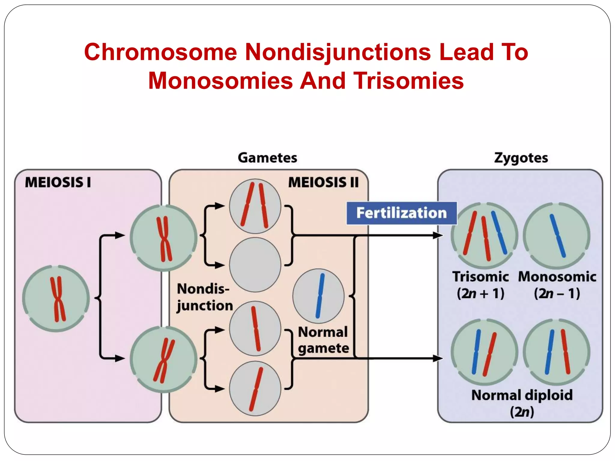 Chromosome disorders.pptx