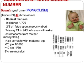 Chromosome disorders.pptx
