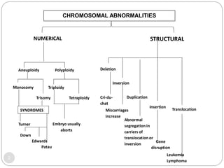Chromosome disorders.pptx