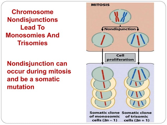 Chromosome disorders.pptx