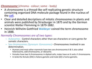 CHROMOSOMES | PPT