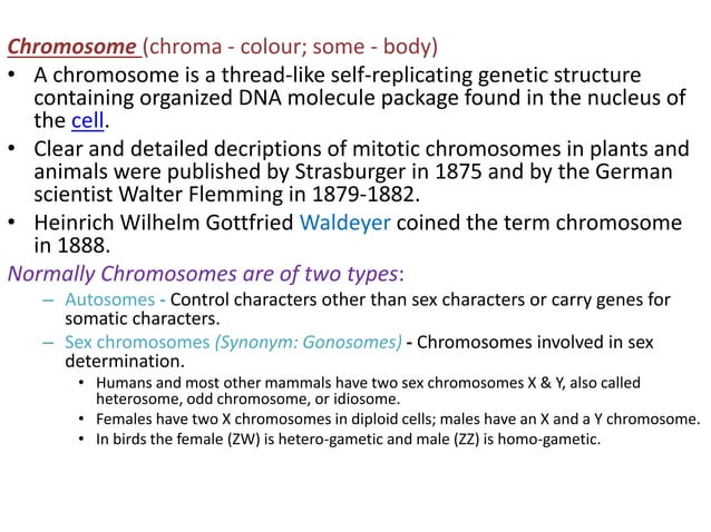 CHROMOSOMES | PPT