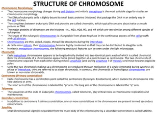 CHROMOSOMES | PPT