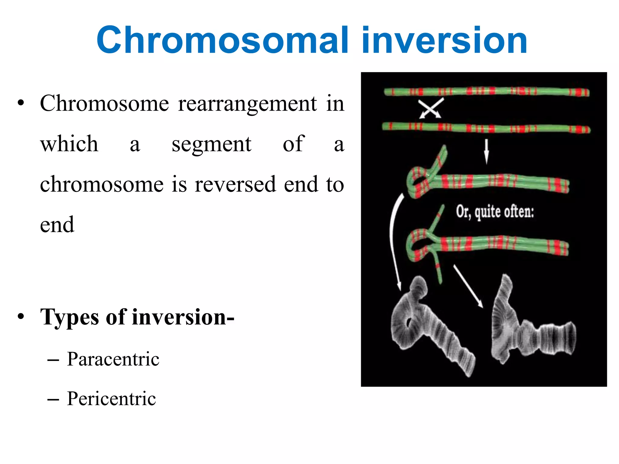 Chromosome engineering | PPTX