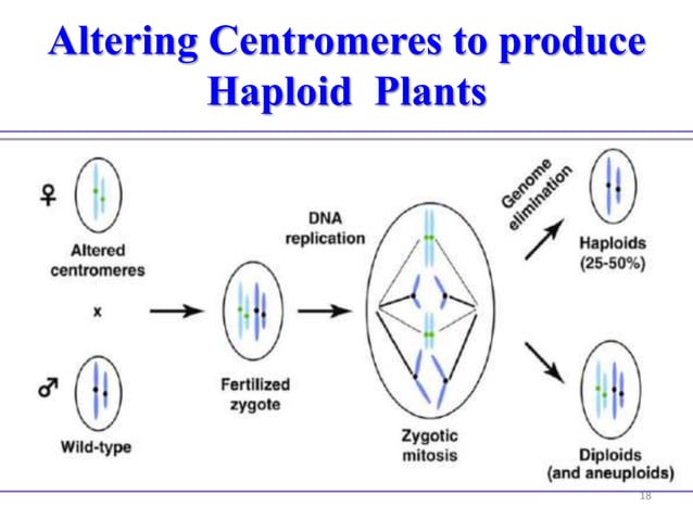 Chromosome engineering | PPTX