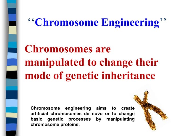 Chromosome engineering | PPTX