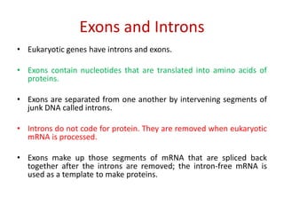 Chromosome Gene.pptx