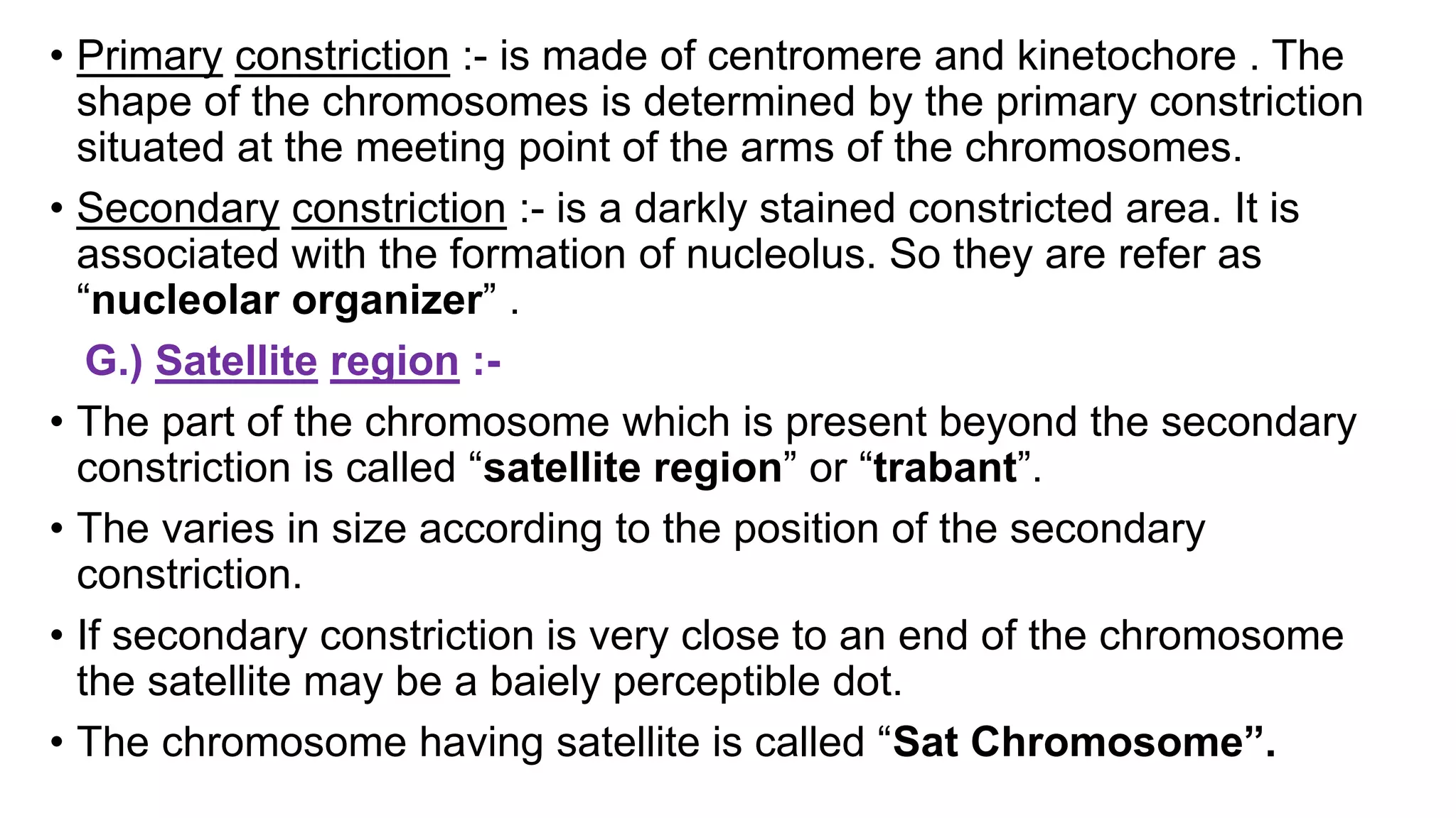 Chromosome & Giant Chromosome (Girja Pd. Patel) | PPTX