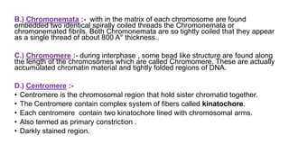 Chromosome & Giant Chromosome (Girja Pd. Patel) | PPTX