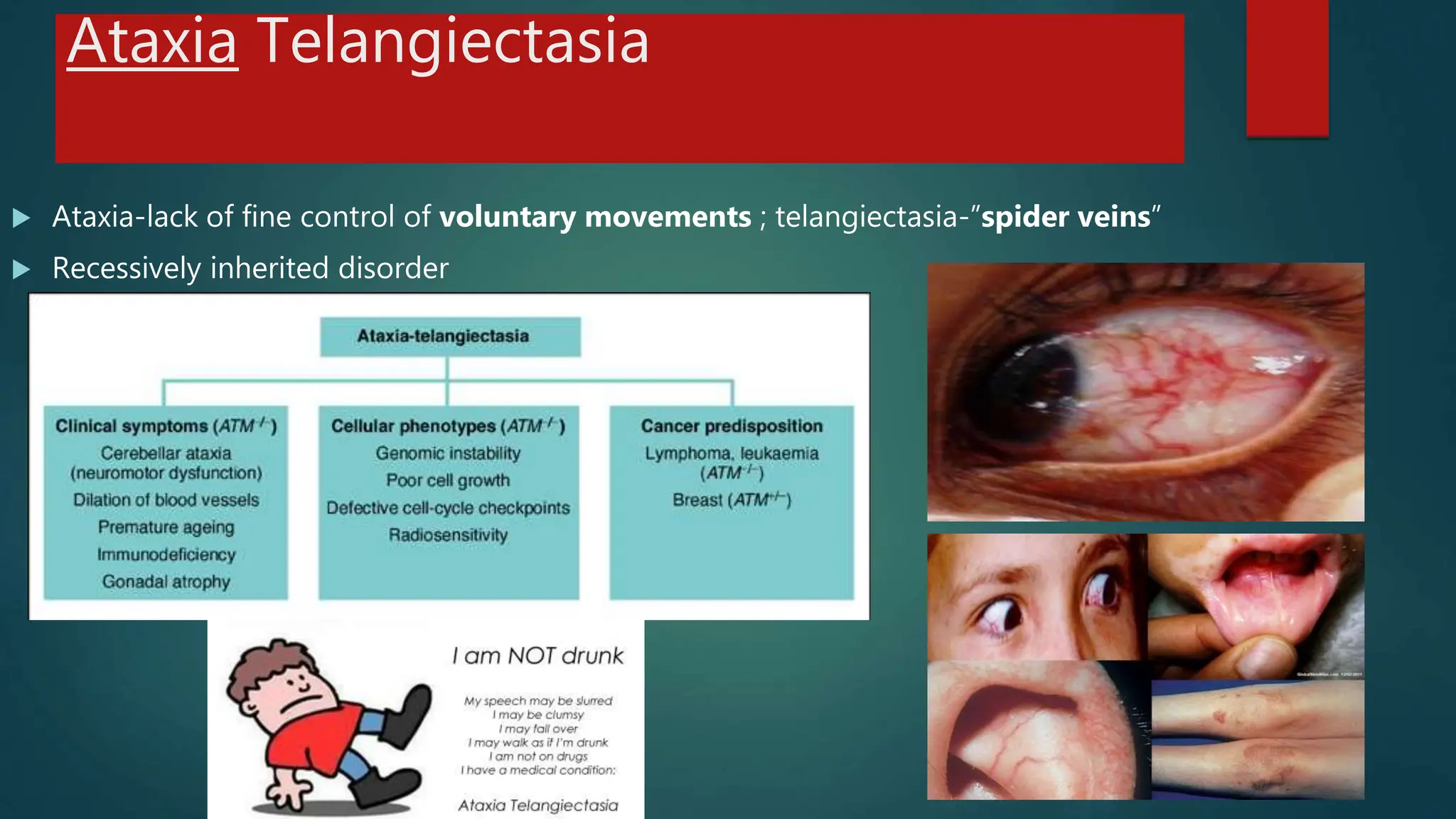 Chromosome instability syndrome including instability of chromosome and ...