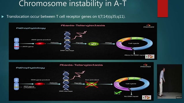 Chromosome instability syndrome including instability of chromosome and ...