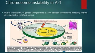 Chromosome instability syndrome including instability of chromosome and ...